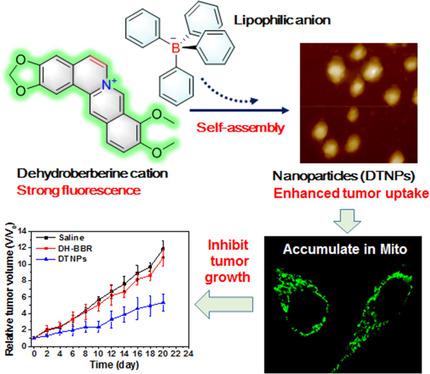 Self‐assembly of Fluorescent Dehydroberberine Enhances Mitochondria ...