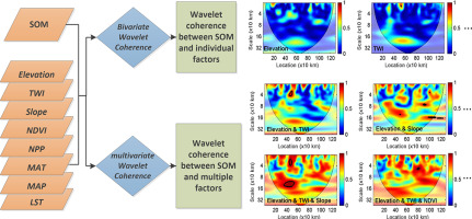 Identifying localized and scale-specific multivariate controls of soil organic matter variations ...