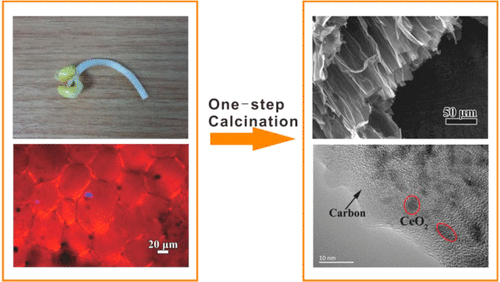 Enhanced Photocatalytic H2 Production on Three-Dimensional Porous CeO2 ...