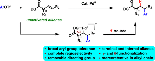 Palladium-Catalyzed Regiocontrollable Reductive Heck Reaction of ...