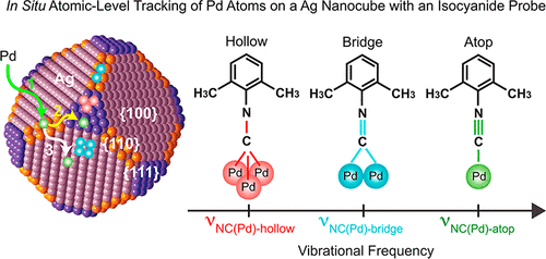 In Situ Atomic-Level Tracking of Heterogeneous Nucleation in ...