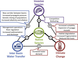Inter-basin water transfers and the expansion of aquatic invasive ...