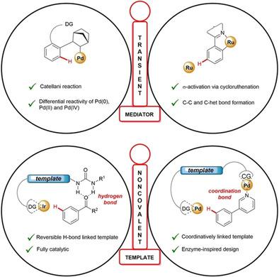 meta‐ and para‐Selective C−H Functionalization using Transient Mediators and Noncovalent ...