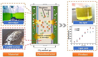 High-efficiency nutrients reclamation from landfill leachate by ...