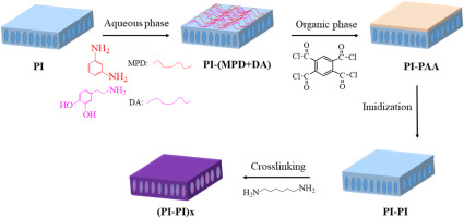 High Solvent-resistant and Integrally Crosslinked Polyimide-based ...
