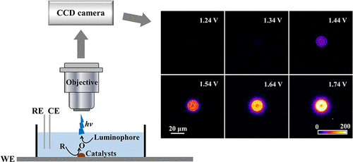 In Situ Visualization of Electrocatalytic Reaction Activity at Quantum ...