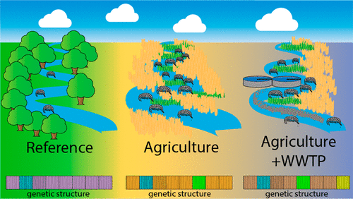 Tandem Action of Natural and Chemical Stressors in Stream Ecosystems ...