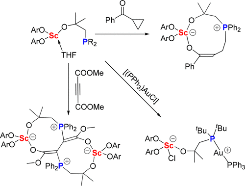 Reactions of Neutral Scandium/Phosphorus Lewis Pairs with Small ...