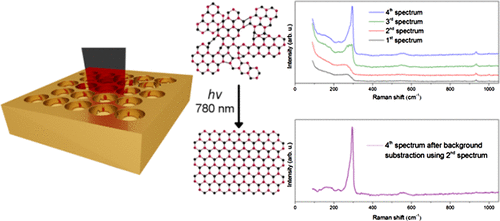 In Situ Surface-Enhanced Raman Spectroscopic Studies of ...