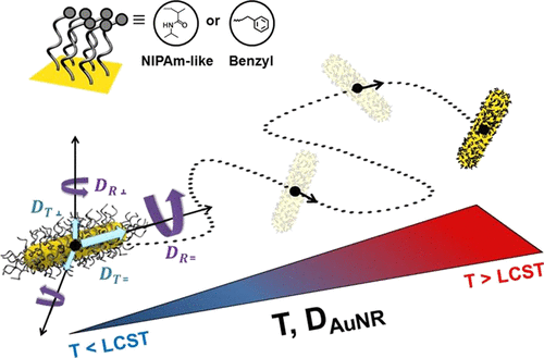 Diffusion of Gold Nanorods Functionalized with Thermoresponsive Polymer ...