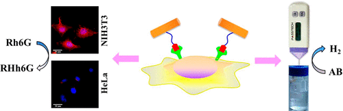 Pressure and Fluorescence Dual Signal Readout CuO-NiO/C Heterojunction ...