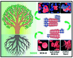 Effect of different seed sources on the hydrothermal crystallization of ...