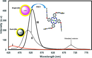 Photophysical and enhanced nonlinear optical response in asymmetric ...