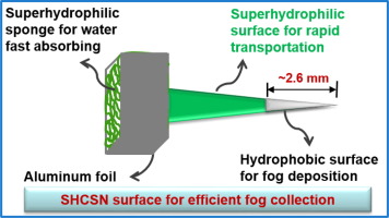 Bioinspired superhydrophilic-hydrophobic integrated surface with ...