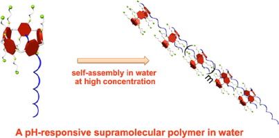 A phosphonated copillar[5]arene: Synthesis and application in the construction of pH-responsive ...