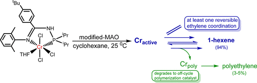 Mechanistic Insights into Chromium-Catalyzed Ethylene Trimerization,ACS ...