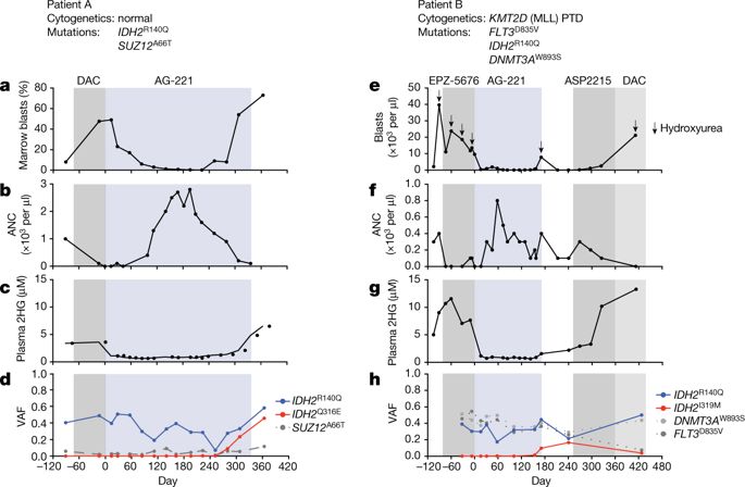Acquired resistance to IDH inhibition through trans or cis dimer ...
