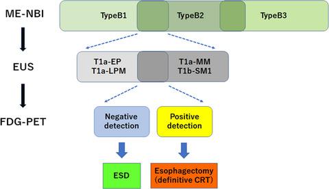 18F‐Fluorodeoxyglucose positron emission tomography can be used to ...