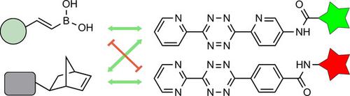 Coordination‐Assisted Bioorthogonal Chemistry: Orthogonal Tetrazine ...