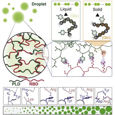 A Molecular Grammar Governing the Driving Forces for Phase Separation ...