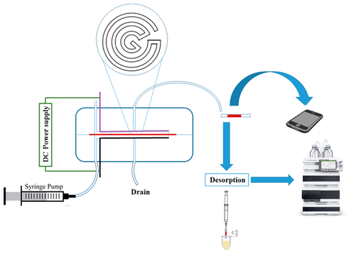 Approach for Downscaling of Electromembrane Extraction as a Lab on-a ...