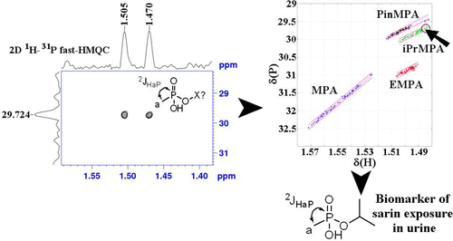 pH-Dependent Piecewise Linear Correlation of 1H,31P Chemical Shifts: Application in NMR ...