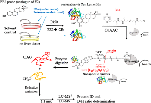 In Situ Click Reaction Coupled with Quantitative Proteomics for ...