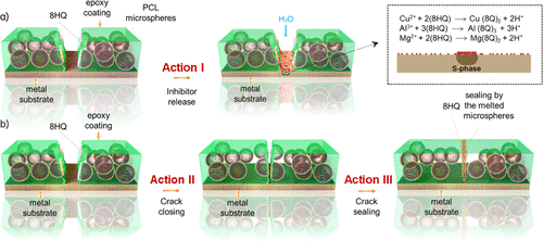 Triple-Action Self-Healing Protective Coatings Based on Shape Memory ...