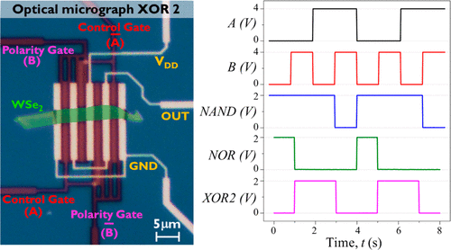 Doping-Free Complementary Logic Gates Enabled by Two-Dimensional ...