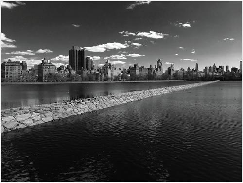 纽约市中央公园的杰奎琳·肯尼迪·奥纳西斯水库,JAMA Internal Medicine - X-MOL