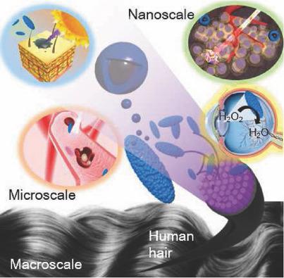 Hierarchical Micro‐/Nanostructures from Human Hair for Biomedical ...