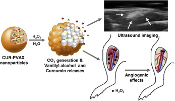 Ultrasound imaging and on-demand therapy of peripheral arterial ...
