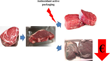 Active packaging films with natural antioxidants to be used in meat ...