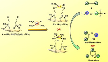 Structural elucidation of supported Rh complexes derived from RhCl(PPh3 ...