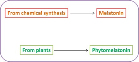 Phytomelatonin, natural melatonin from plants as a novel dietary ...