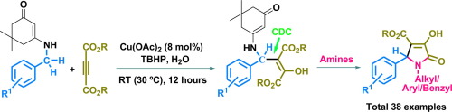 Cu catalyzed cross-dehydrogenative coupling reaction for the synthesis ...