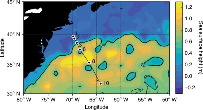 Gulf Stream rings as a source of iron to the North Atlantic subtropical ...