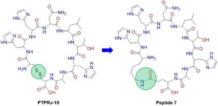 Design, Synthesis, Biological Activity, and Structural Analysis of ...