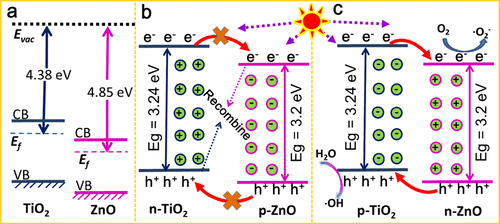 价带和导带相似位置的异质结光催化剂光生载流子转移机理的研究：以ZnO / TiO 2 为例 ,The Journal of Physical ...