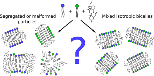 Behavior of Most Widely Spread Lipids in Isotropic Bicelles,Langmuir ...
