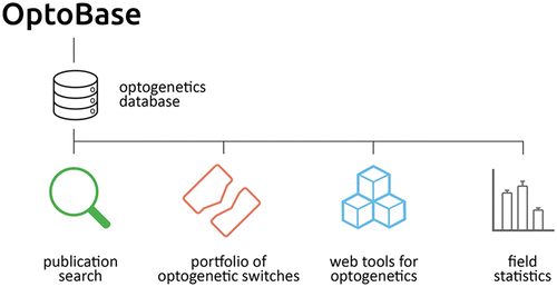 OptoBase：分子光遗传学的Web平台,ACS Synthetic Biology - X-MOL