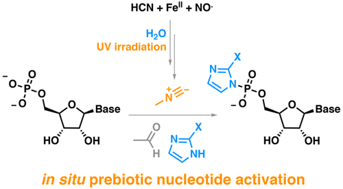 一种可轻释放的潜在益生元核苷酸激活剂,Journal of the American Chemical Society - X-MOL