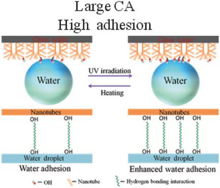 UV‐Resistant and Thermally Stable Superhydrophobic CeO2 Nanotubes with ...