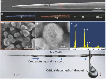 Excellent Fog‐Droplets Collector via Integrative Janus Membrane and ...