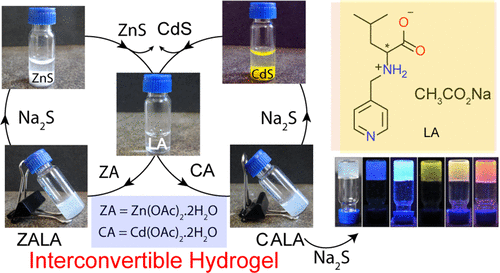 Multistimuli-Responsive Interconvertible Low-Molecular Weight ...