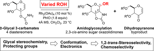 用于 2-氨基糖合成的糖基金属氮化合物：Gulal-、Allal-、Glucal- 和 Galactal 3-氨基甲酸酯的酰胺糖基化,The ...