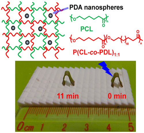 Two-Way Reversible Shape Memory Polymers Containing Polydopamine Nanospheres: Light Actuation ...