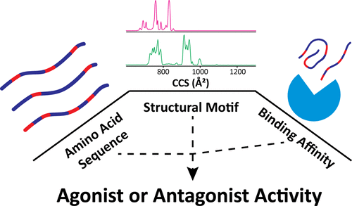 Structural Motif Descriptors as a Way To Elucidate the Agonistic or ...