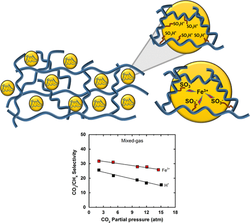 Fe 3+ 离子交换Nafion膜的结构，热和气体传输性质,ACS Omega - X-MOL