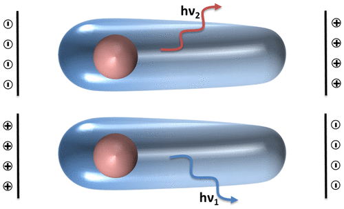 Rapid Voltage Sensing with Single Nanorods via the Quantum Confined ...